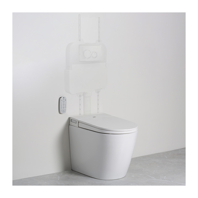 Argent Evo Wall Faced Smart Bidet Toilet Package – Tuck Plumbing Fixtures