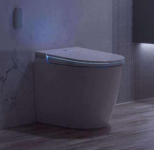 Argent Evo Wall Faced Smart Bidet Toilet Package – Tuck Plumbing Fixtures
